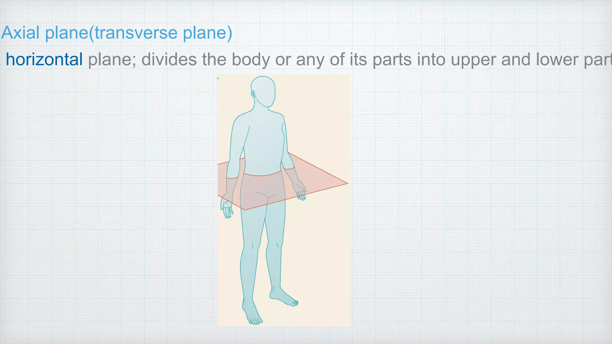 anatomical planes and positions ppt.pptx
