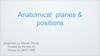 anatomical planes and positions ppt.pptx