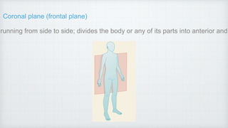 anatomical planes and positions ppt.pptx