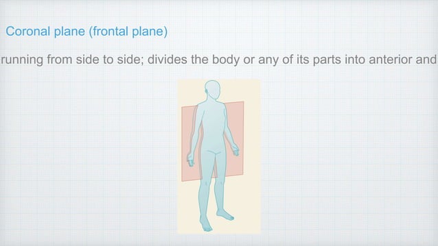 anatomical planes and positions ppt.pptx | Death, Injury, or Military ...