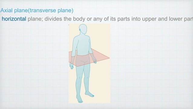 anatomical planes and positions ppt.pptx