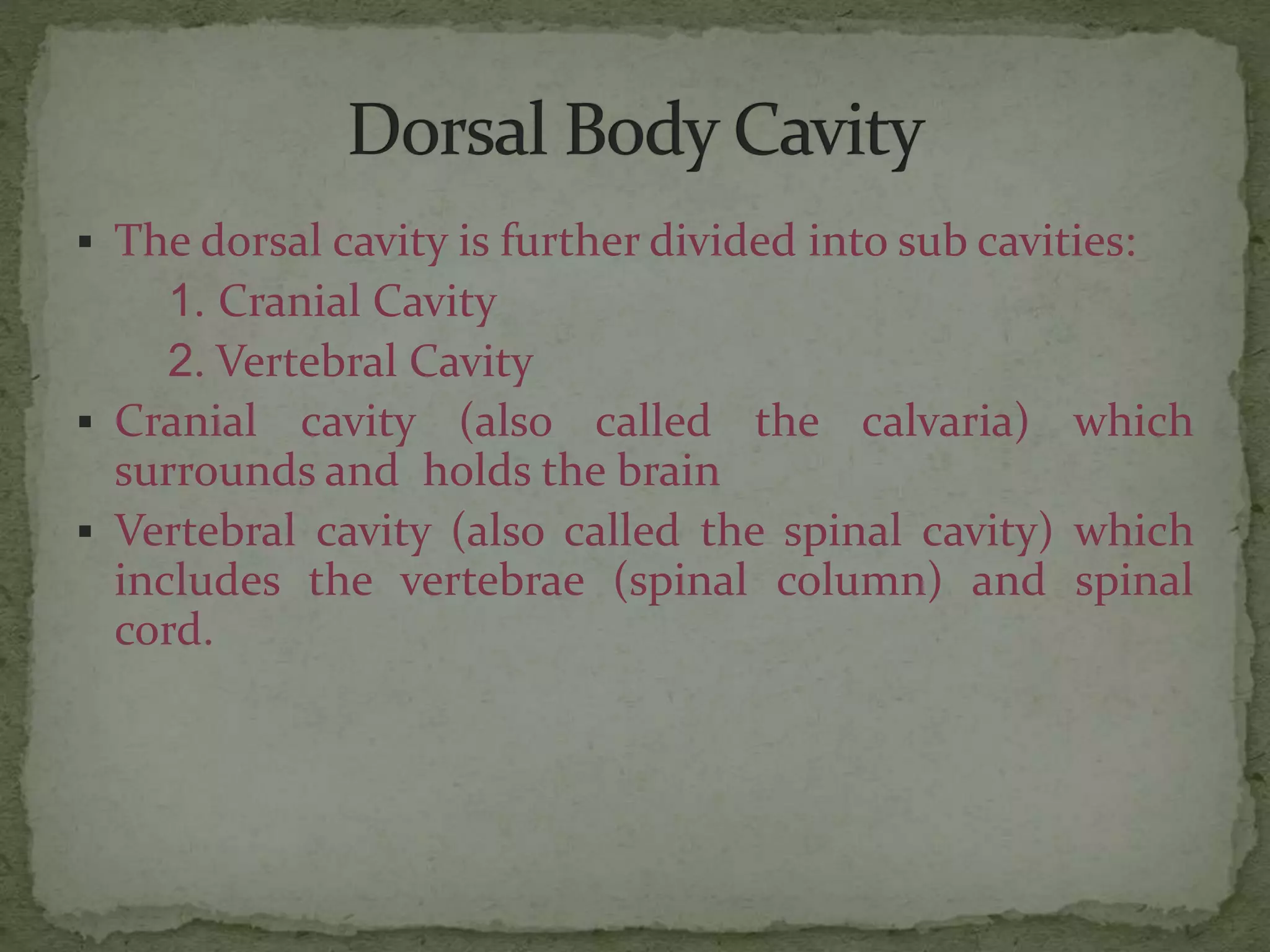Anatomical planes & cavities | PPTX