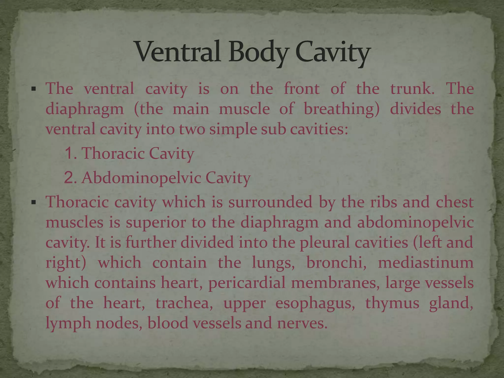 Anatomical planes & cavities | PPTX