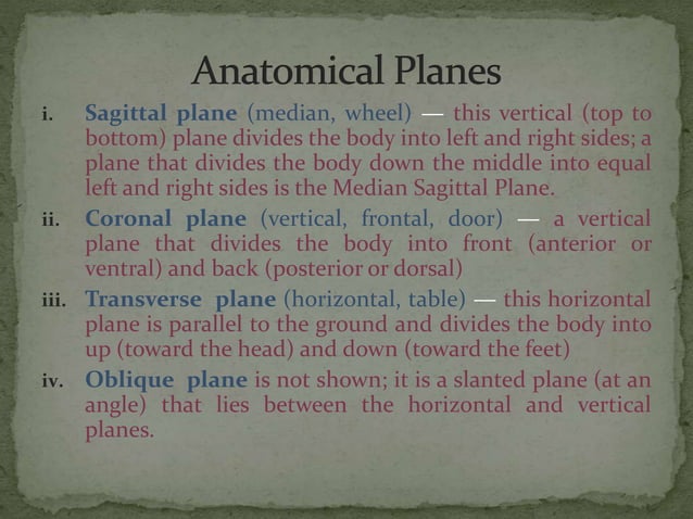 Anatomical planes & cavities | PPTX
