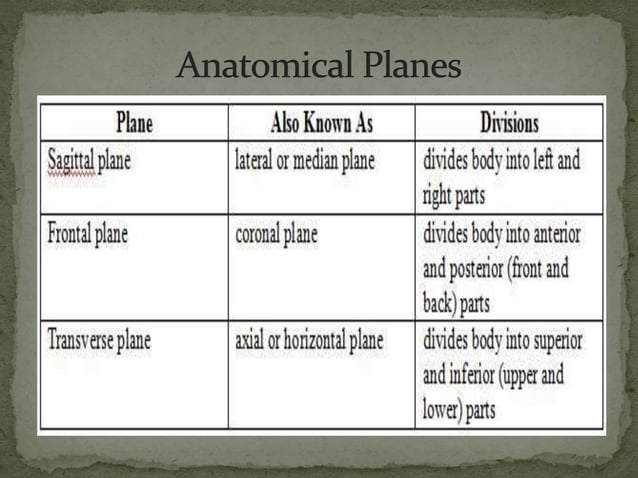 Anatomical planes & cavities | PPTX