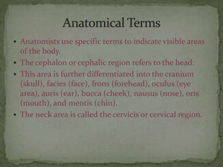 Anatomical planes & cavities | PPTX