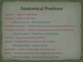 Anatomical planes & cavities | PPTX