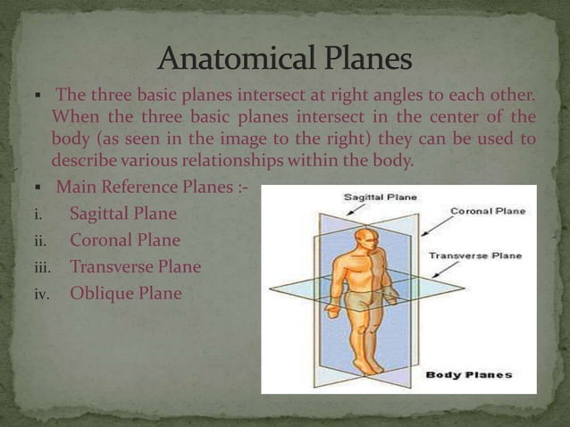 Anatomical planes & cavities | PPTX