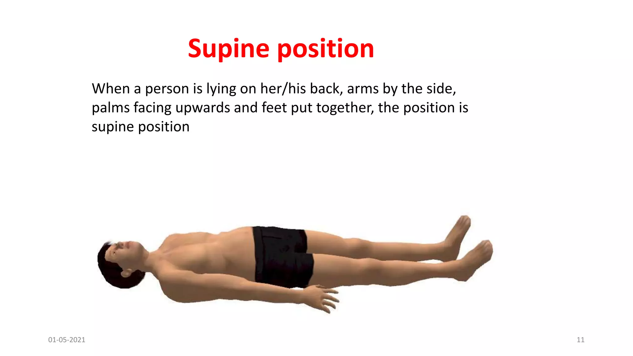 Anatomical planes ppt | PPTX