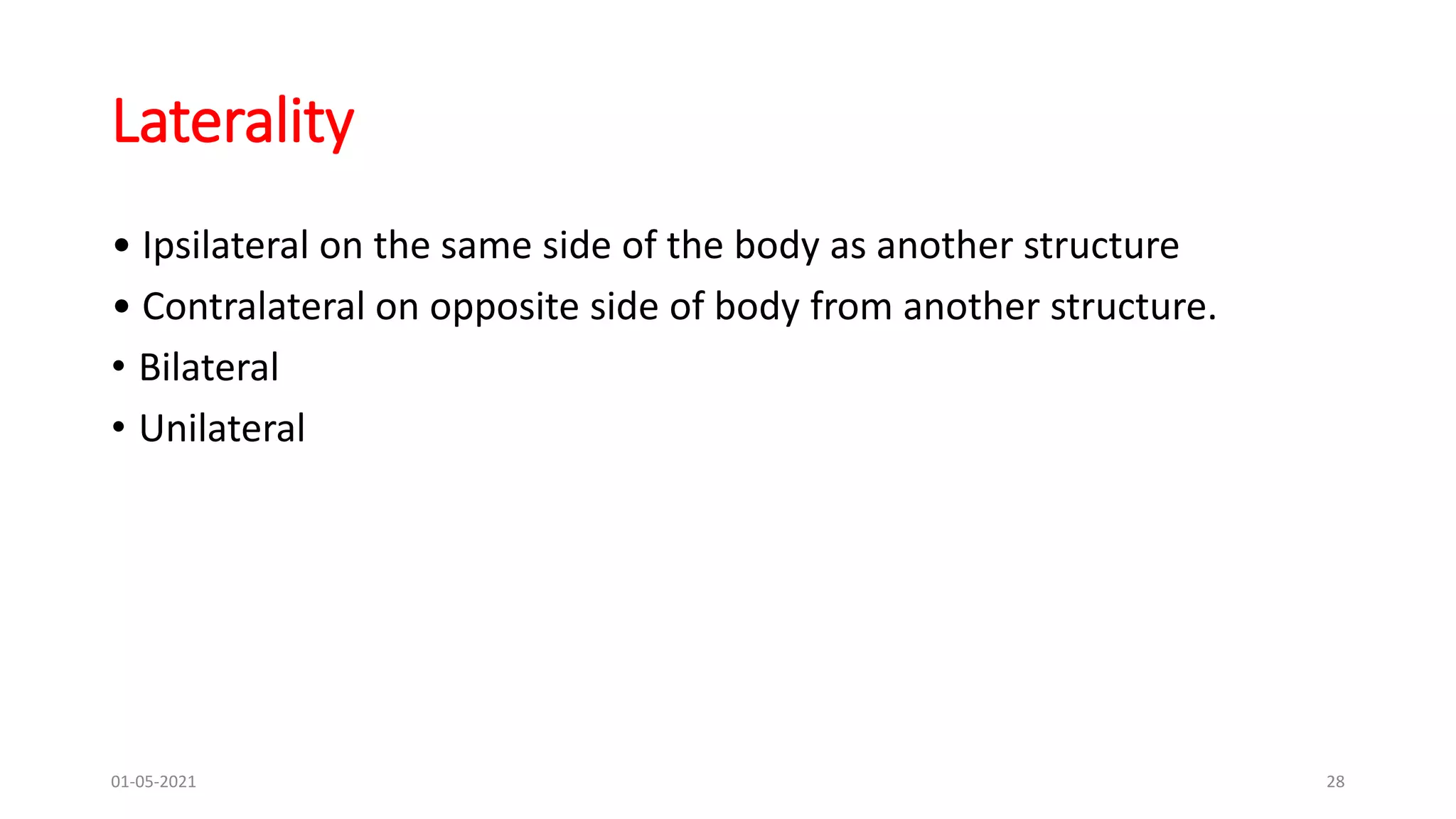 Anatomical planes ppt | PPTX