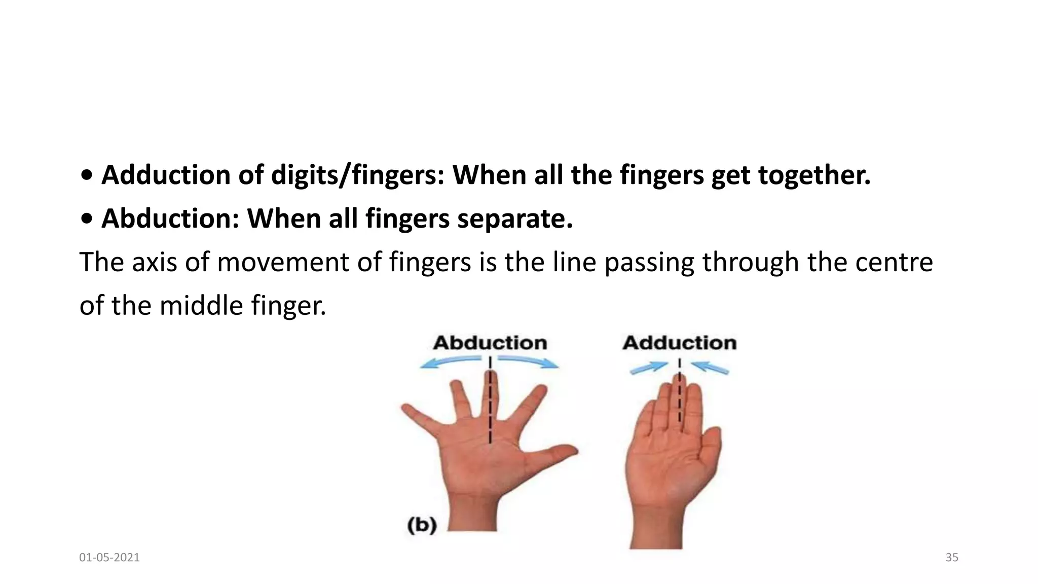 Anatomical planes ppt | PPTX