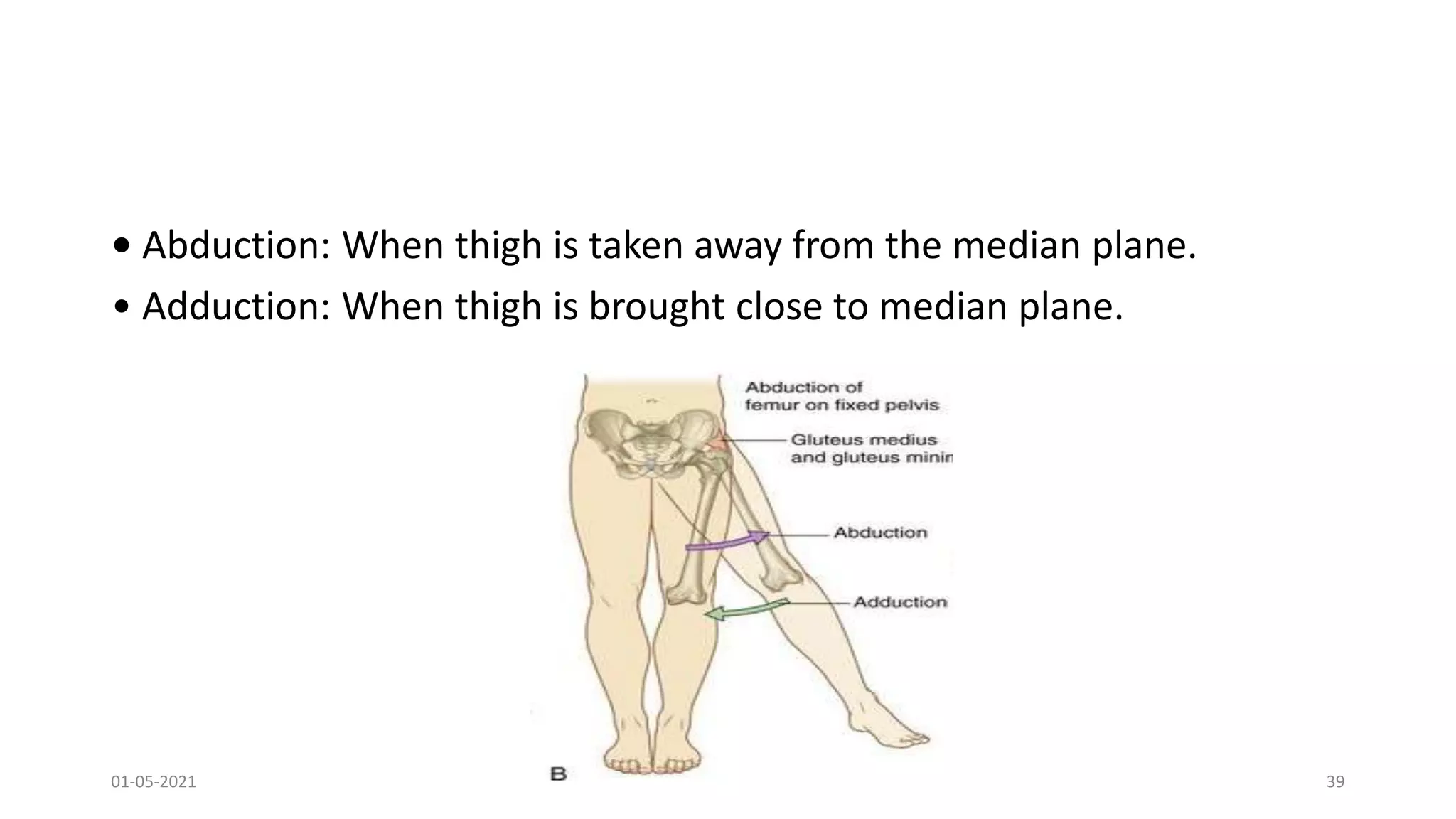 Anatomical planes ppt | PPTX