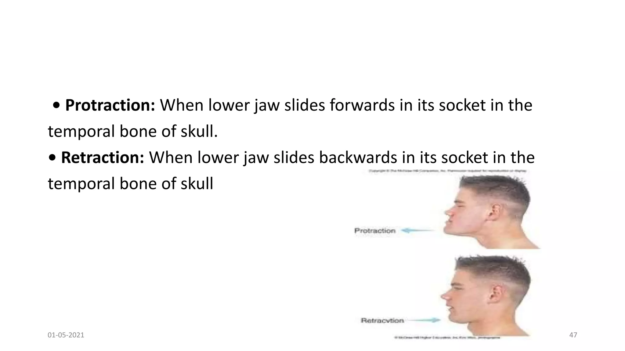 Anatomical planes ppt | PPTX