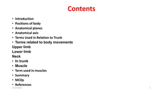 Anatomical planes ppt | PPTX