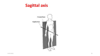 Anatomical planes ppt | PPTX
