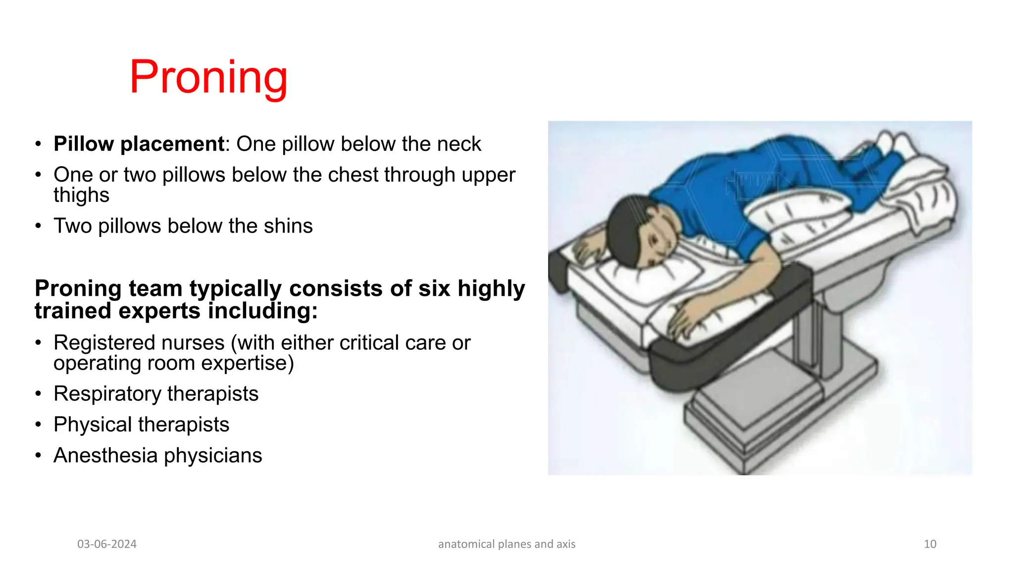 Anatomical Plane and axis - general anatomy | PPT | Free Download