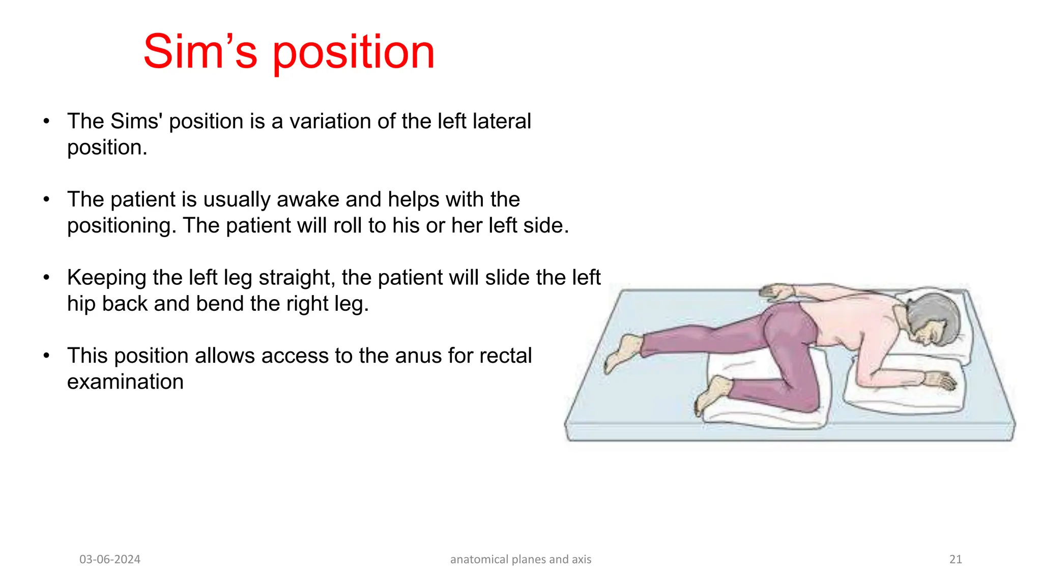 Anatomical Plane and axis - general anatomy | PPT | Free Download