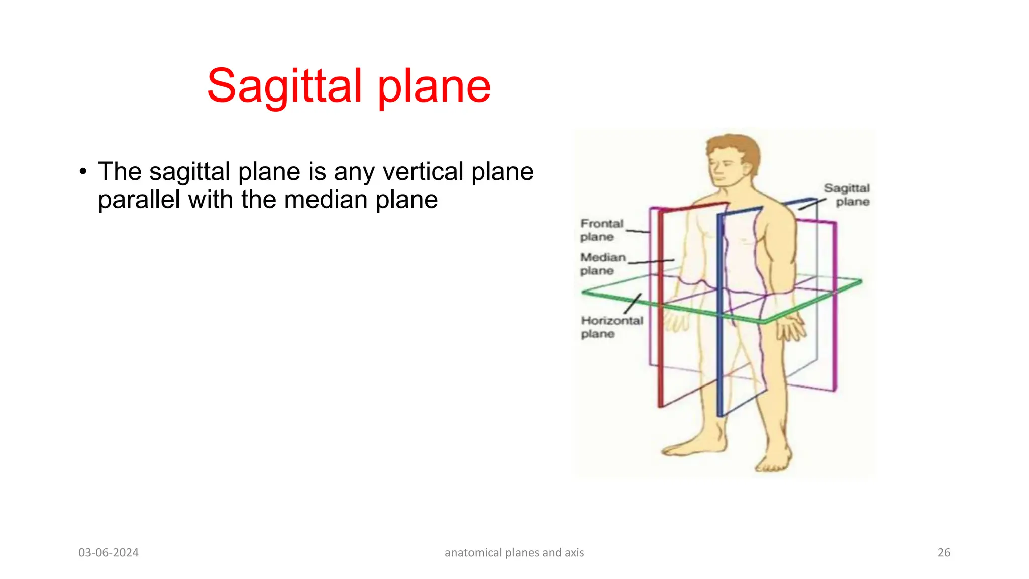 Anatomical Plane and axis - general anatomy | PPT | Free Download