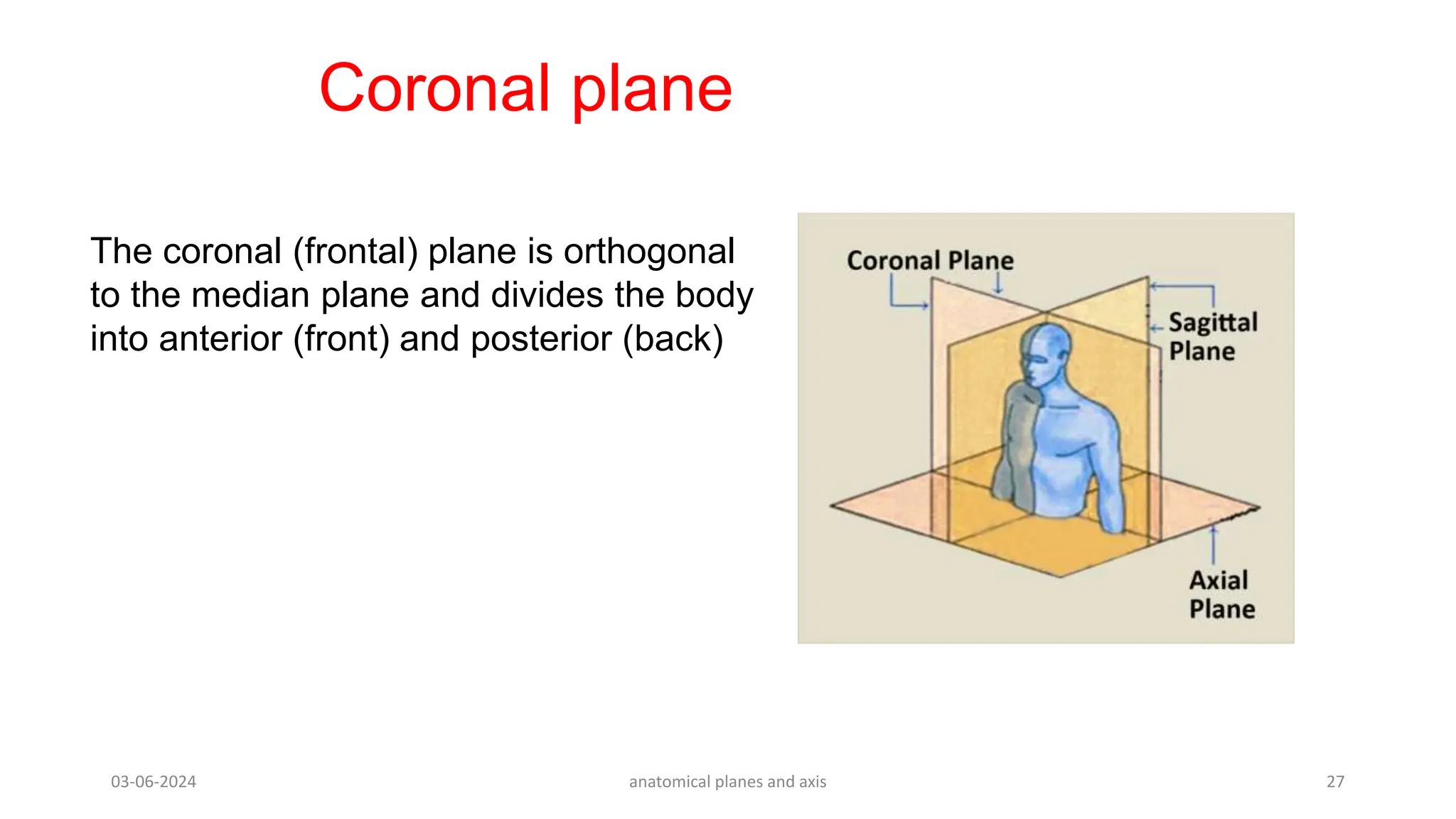 Anatomical Plane and axis - general anatomy | PPT | Free Download