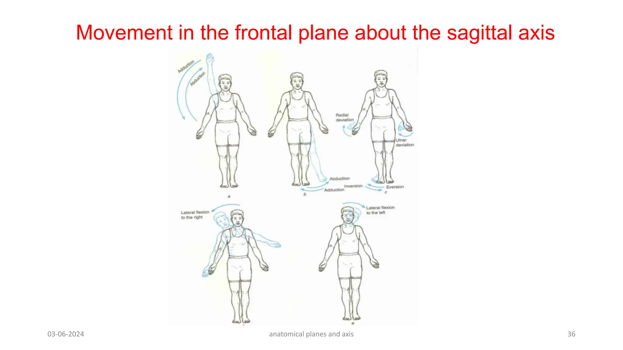 Anatomical Plane and axis - general anatomy | PPT | Free Download