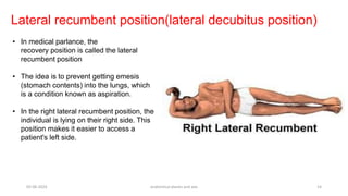 Anatomical Plane and axis - general anatomy | PPTX