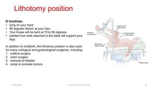 Anatomical Plane and axis - general anatomy | PPTX