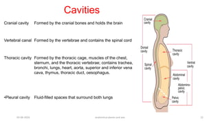 Anatomical Plane and axis - general anatomy | PPTX