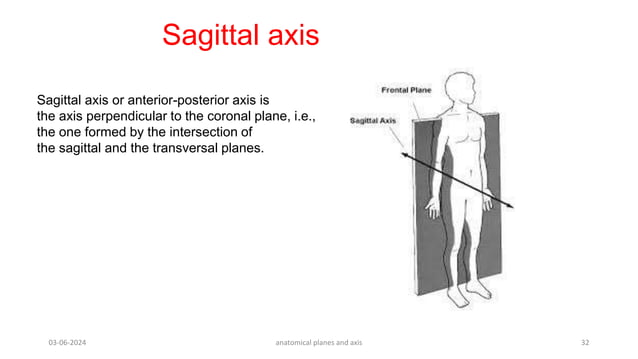 Anatomical Plane and axis - general anatomy | PPT | Free Download