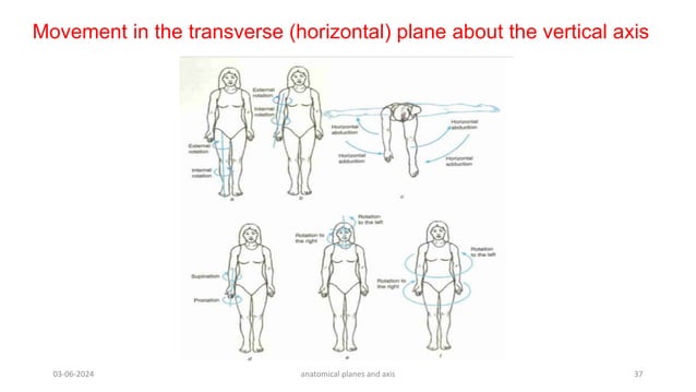 Anatomical Plane and axis - general anatomy | PPT