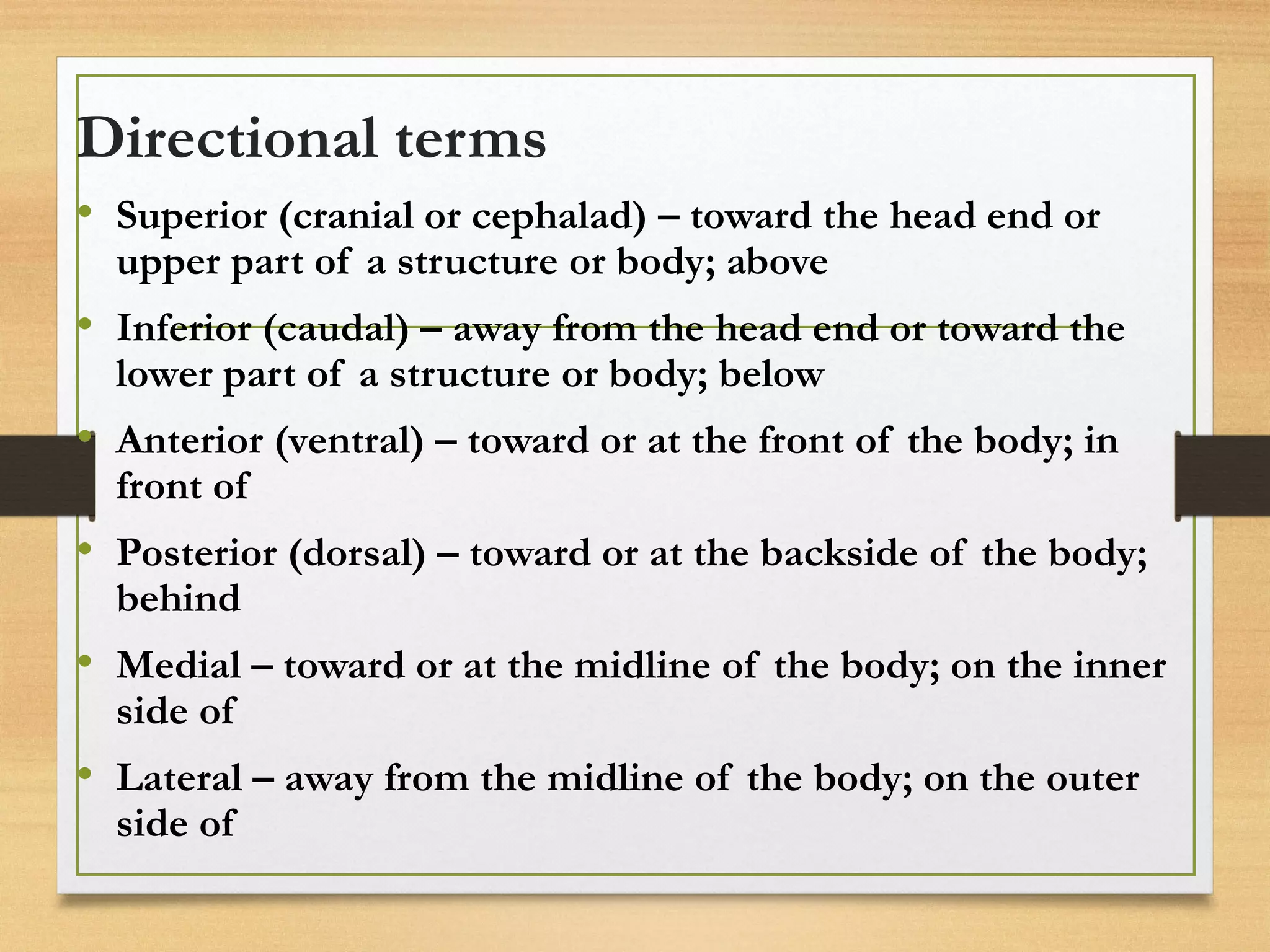 Anatomical position | PPT