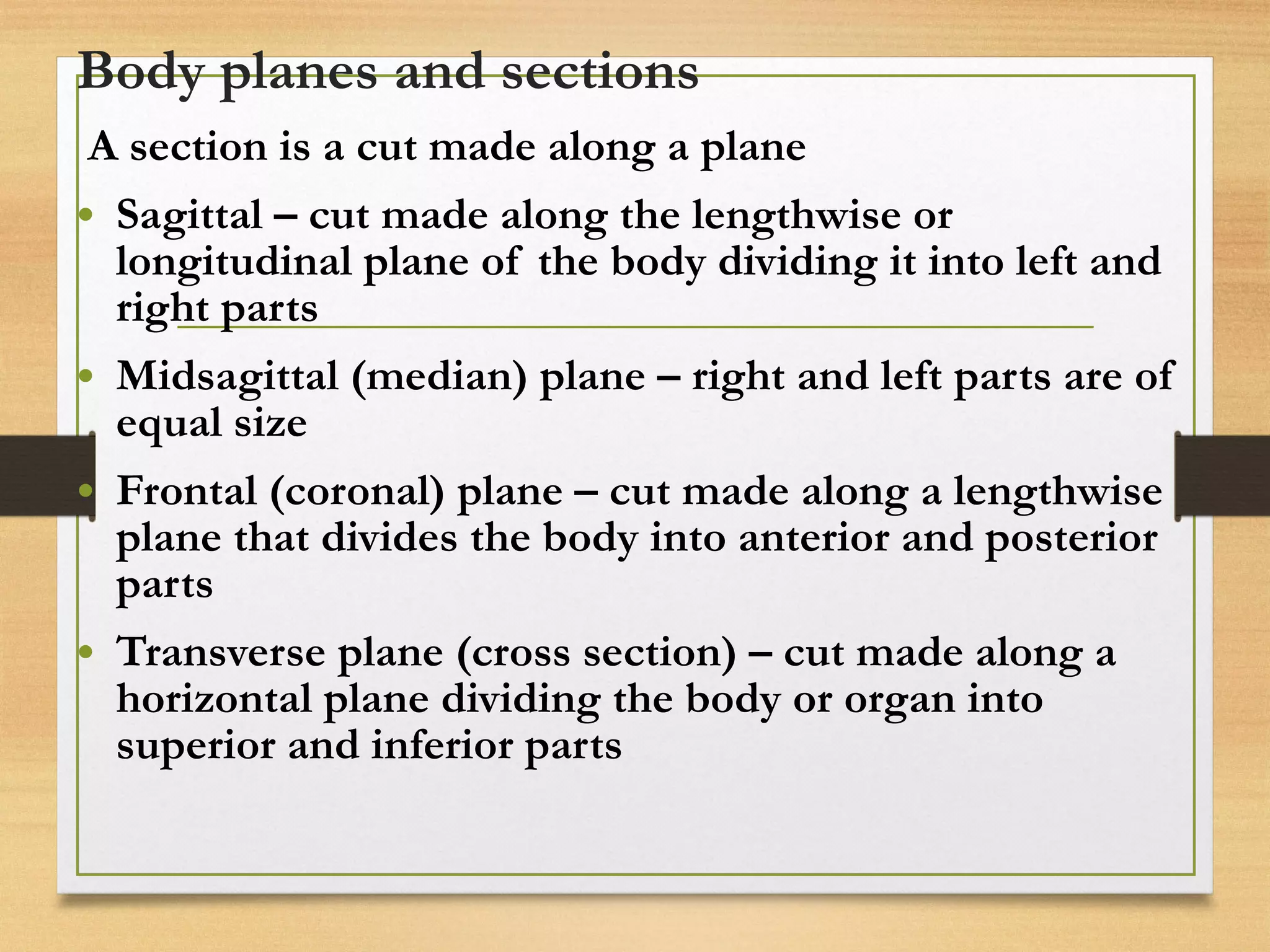 Anatomical position | PPT