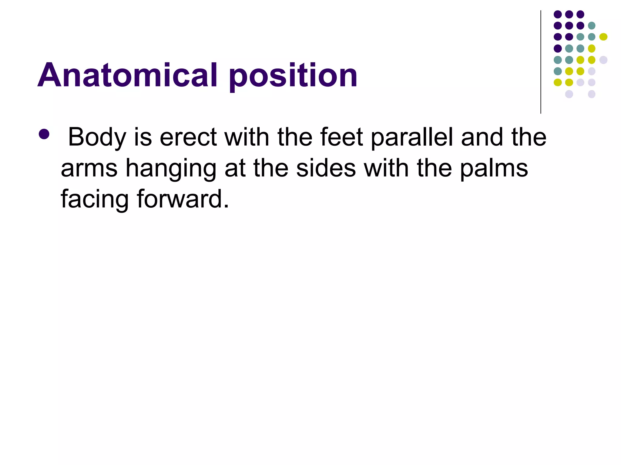 Anatomical position.ppt (1) | PPT
