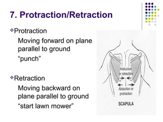 Anatomical position.ppt (1) | PPT | Death, Injury, or Military Conflict ...