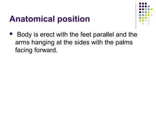 Anatomical position.ppt (1) | PPT