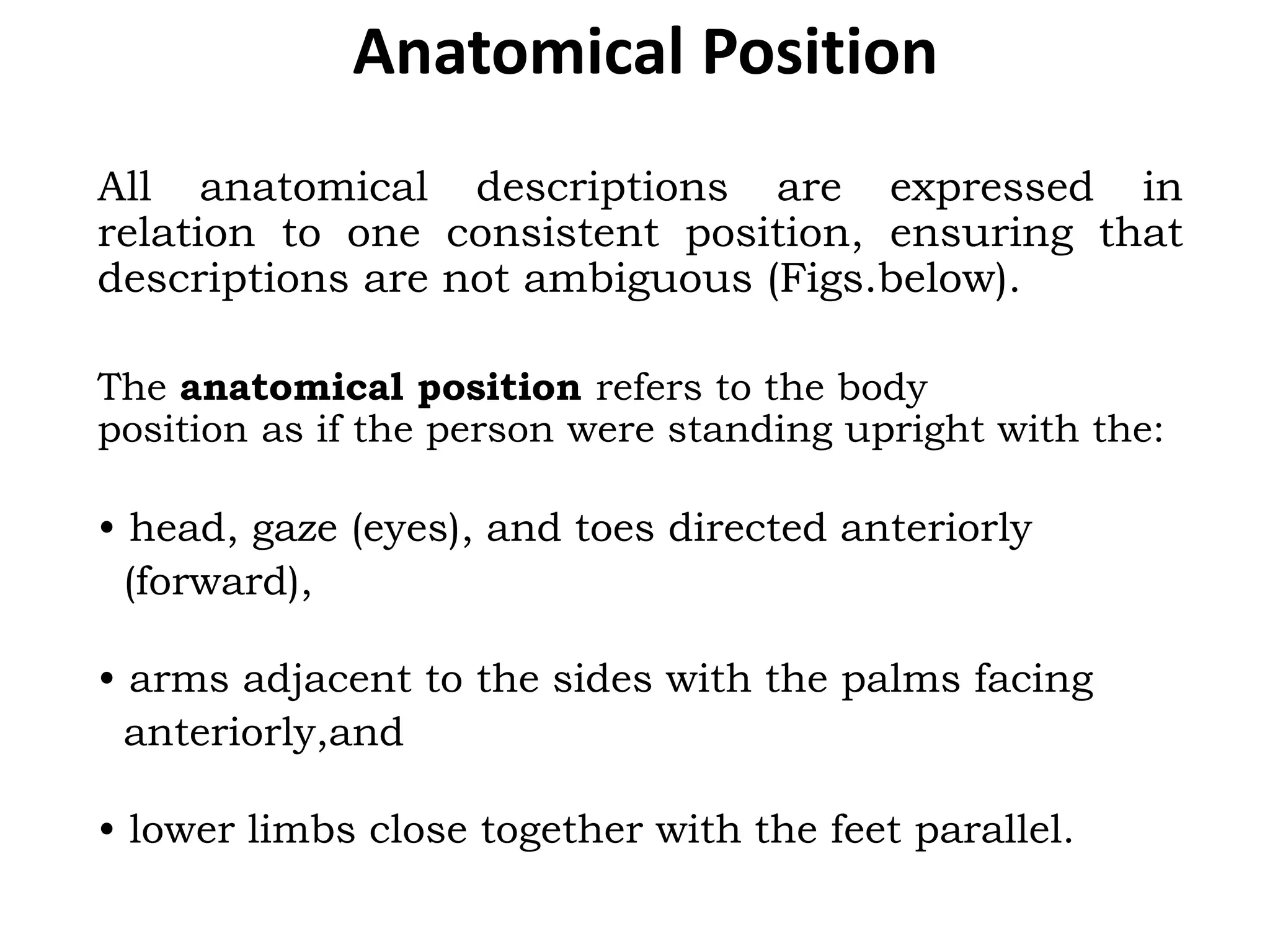Anatomical Position.pptx