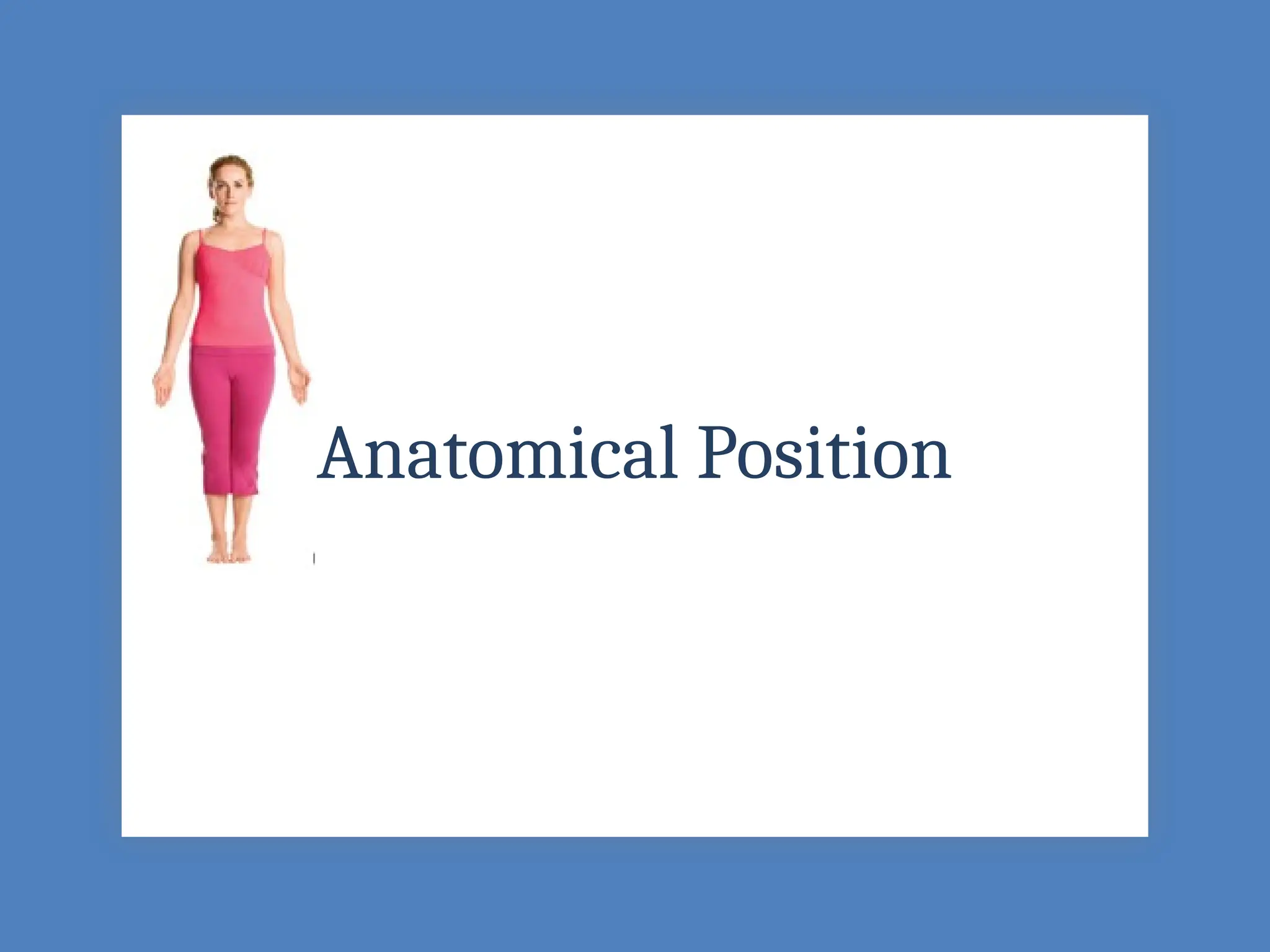 Anatomical Position of bladder and its organs(1).pptx