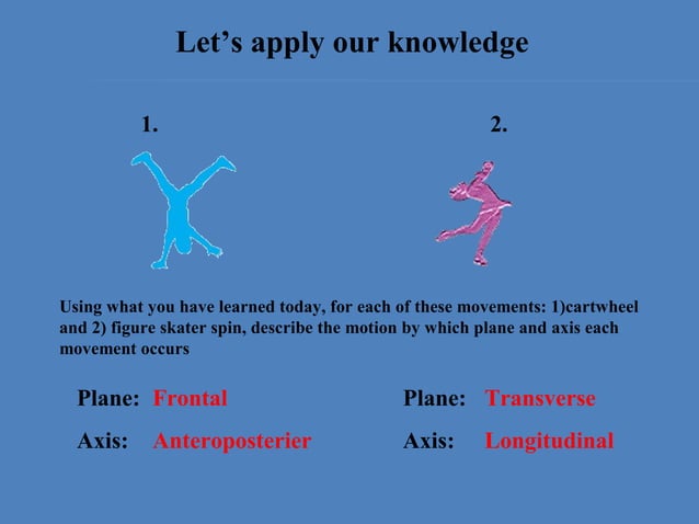 Anatomical Position and Basic Movements | PPT