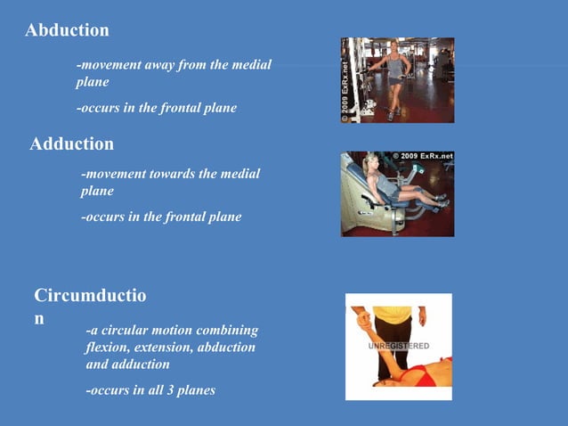 Anatomical Position and Basic Movements | PPT