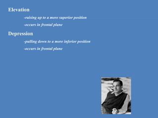 Anatomical Position and Basic Movements | PPT