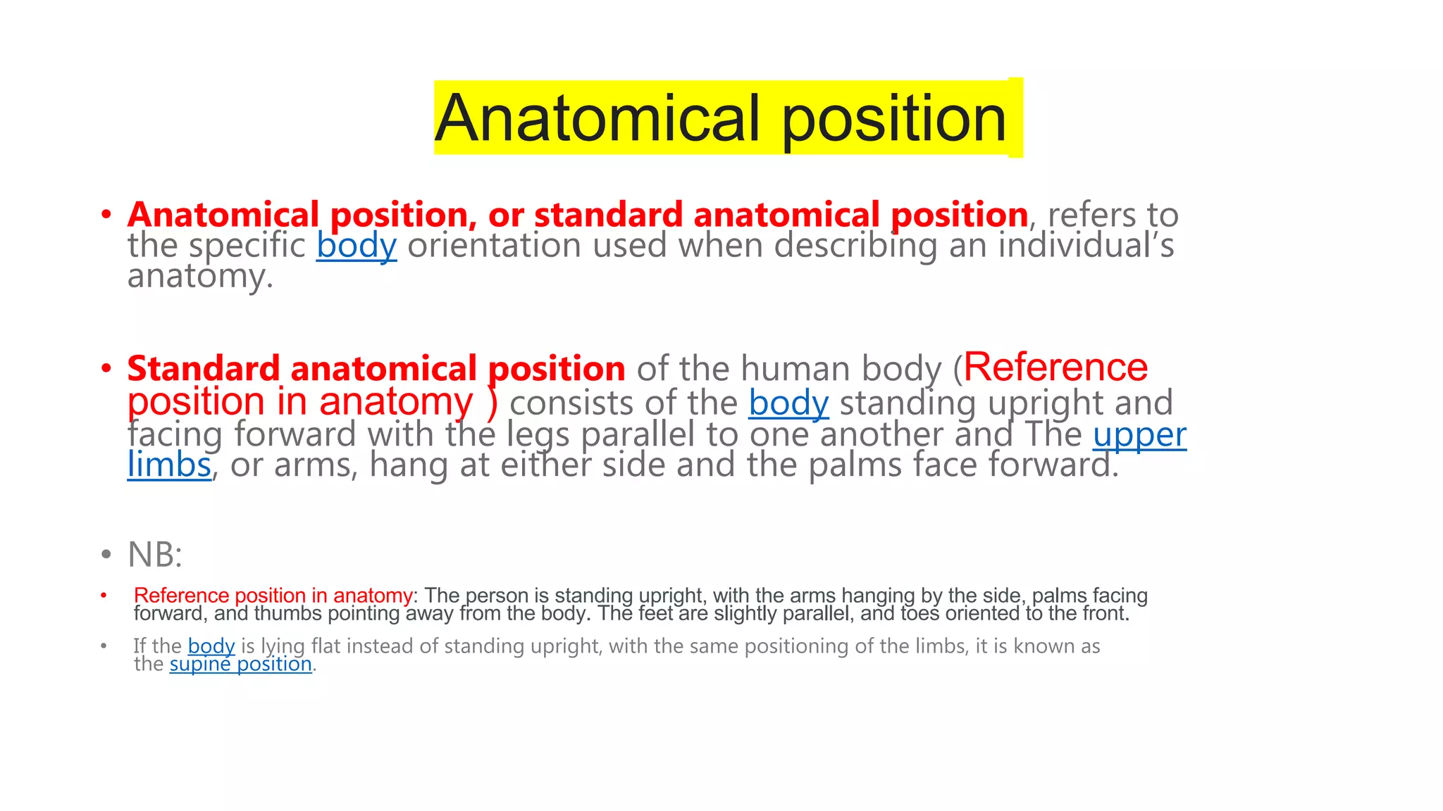 Anatomical position, descriptive and directional terms (Prof.Dalia A ...