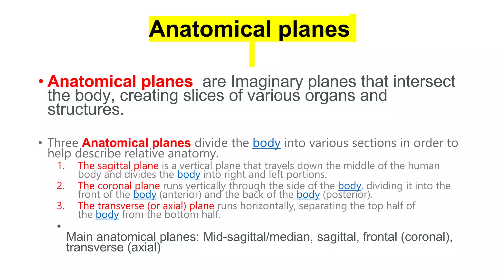Anatomical position, descriptive and directional terms (Prof.Dalia A ...