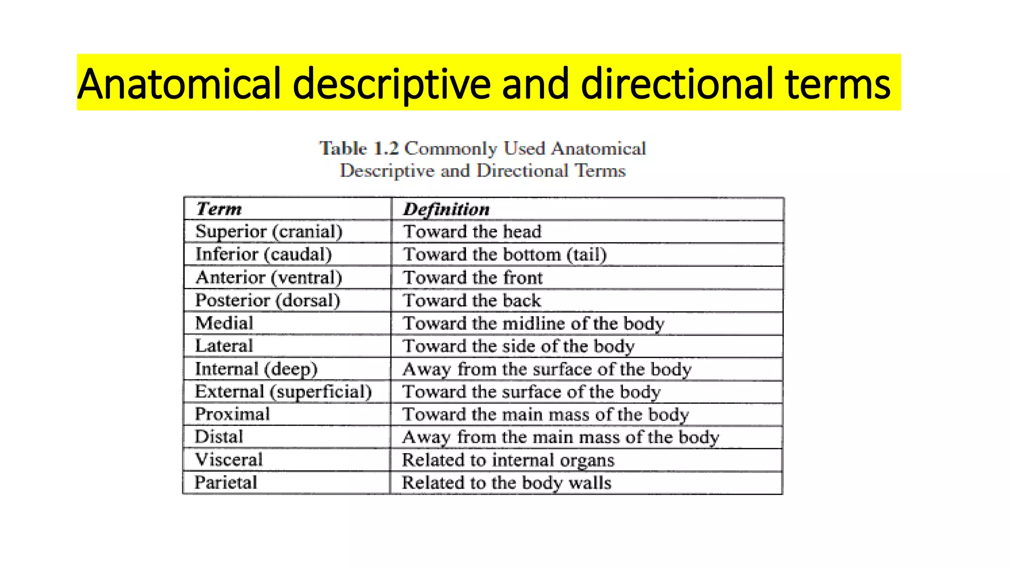Anatomical position, descriptive and directional terms (Prof.Dalia A ...
