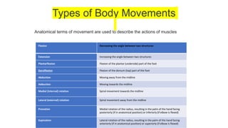 Anatomical position, descriptive and directional terms (Prof.Dalia A ...