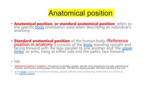 Anatomical position, descriptive and directional terms (Prof.Dalia A ...