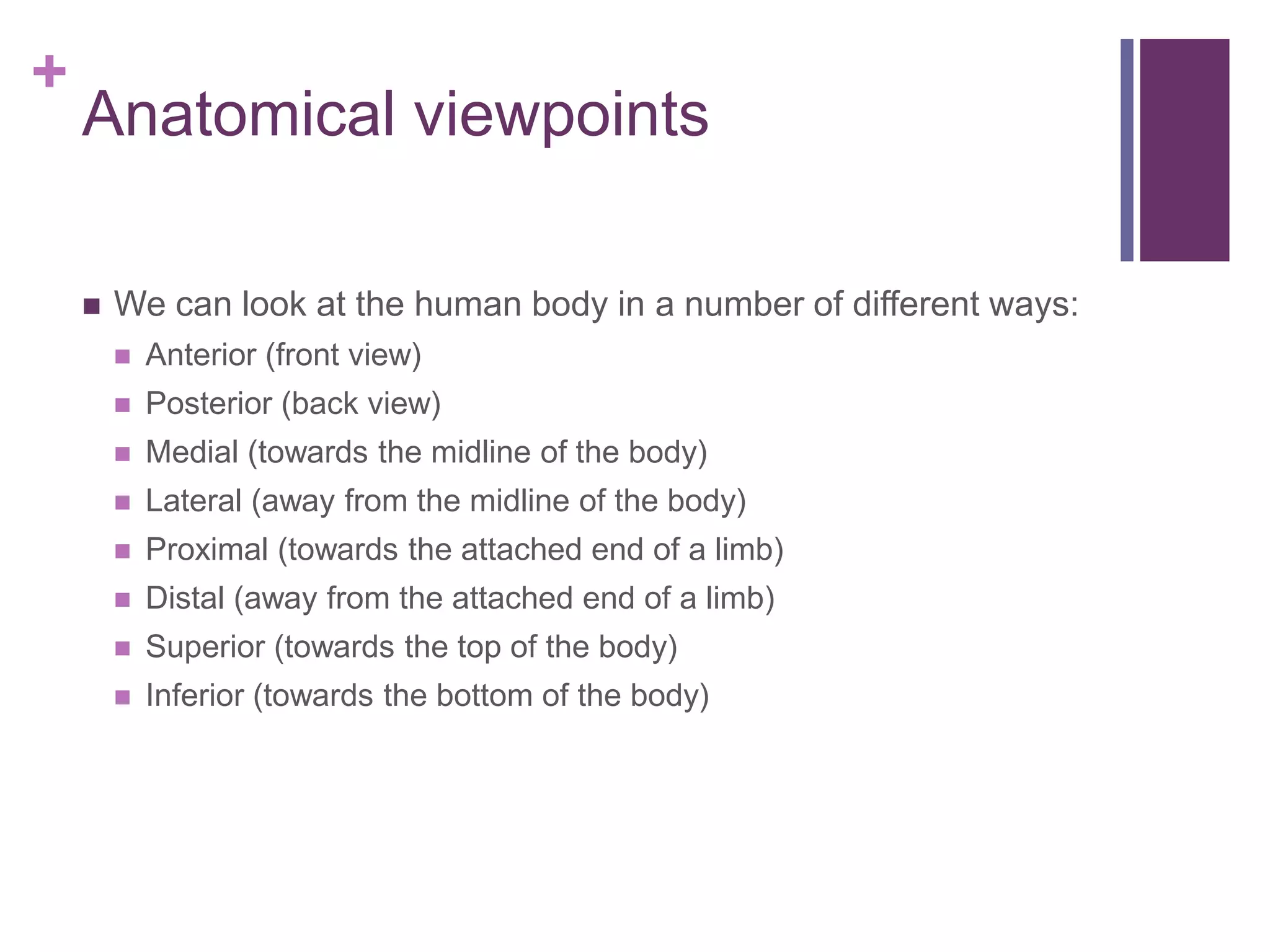Anatomical positions | PPTX