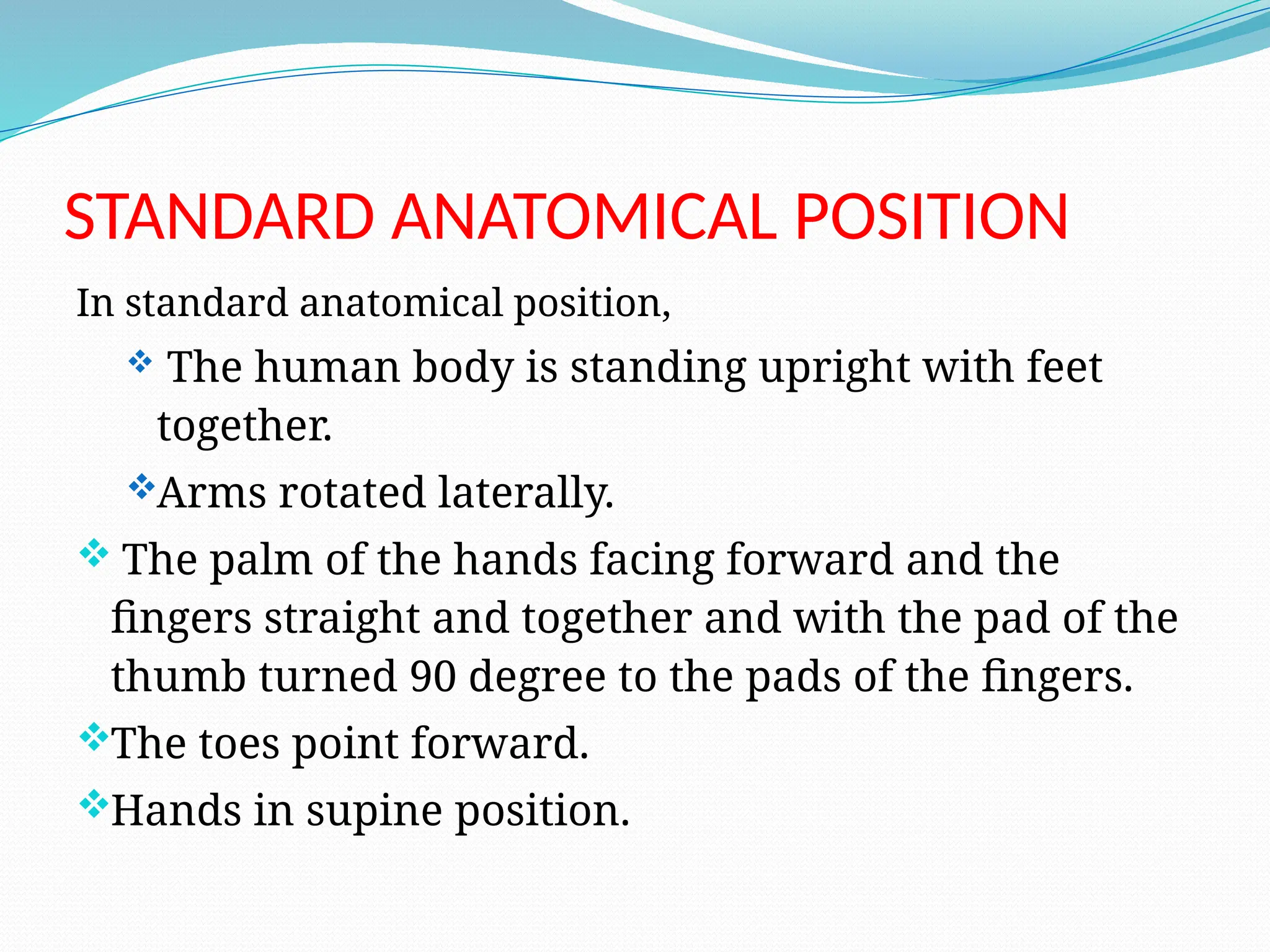 Anatomical positions and terminologies. | PPT