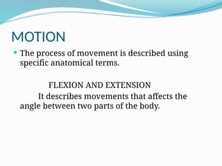 Anatomical positions and terminologies. | PPT