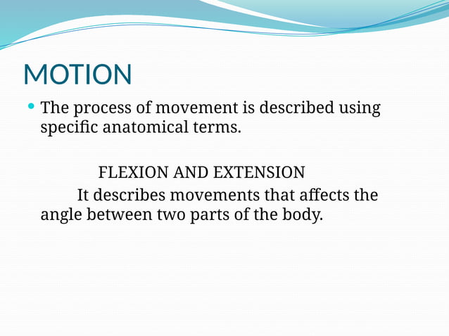 Anatomical positions and terminologies. | PPT