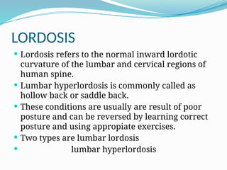 Anatomical positions and terminologies. | PPT