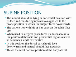 Anatomical positions and terminologies. | PPT